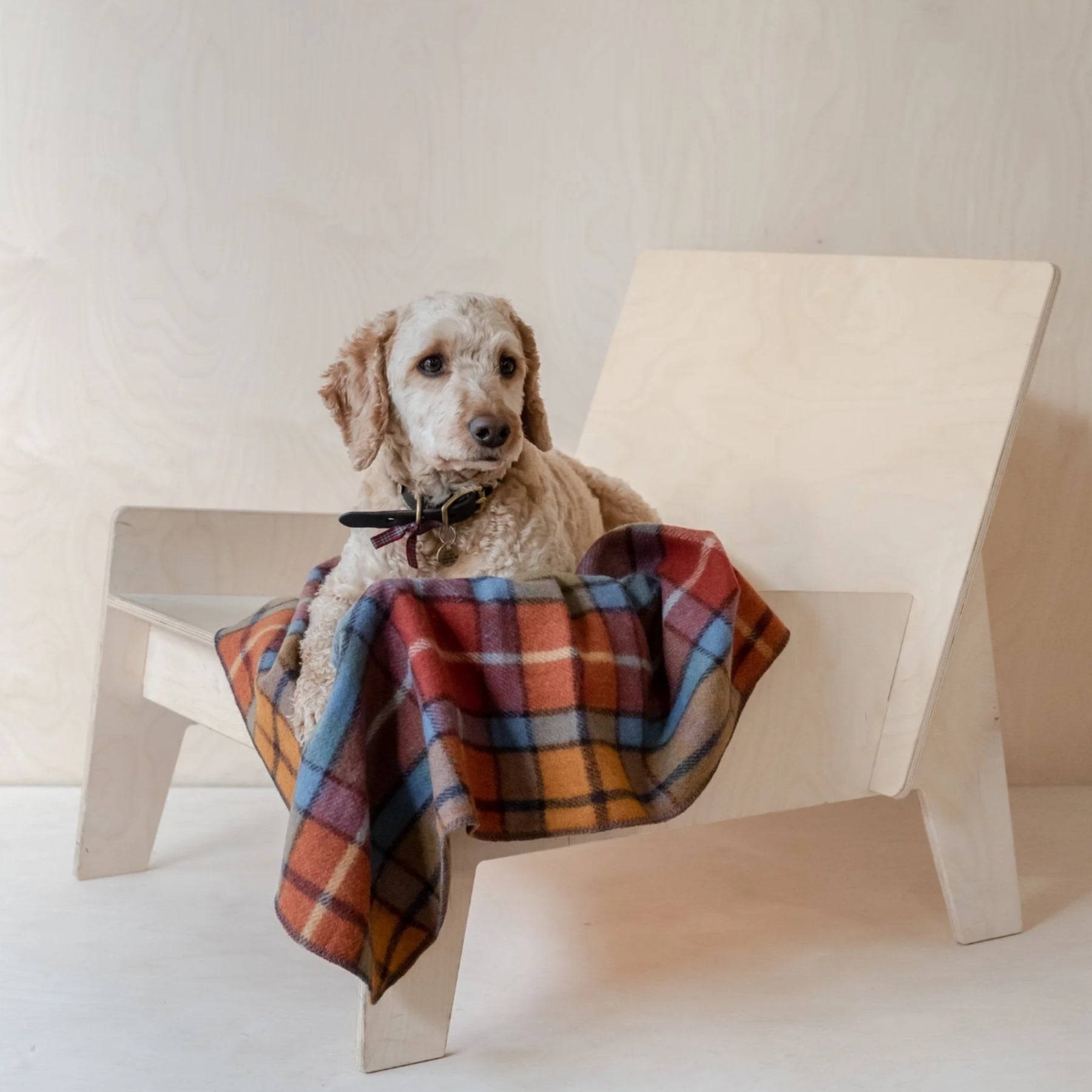 Pet Blankets – Scratch Supply Co.